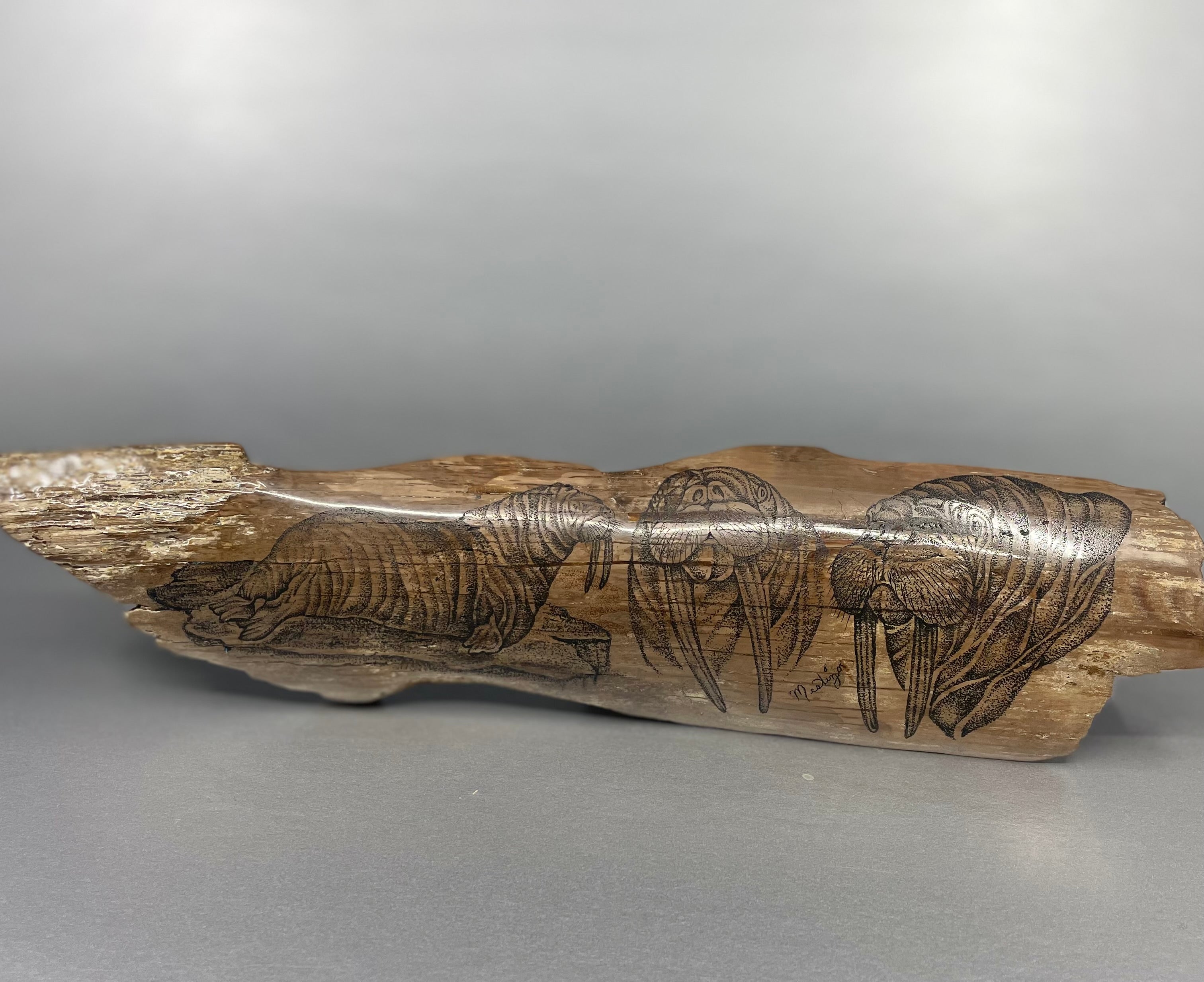 Ivory- Fossilized Walrus Tusk Shard w Scrimshaw Walrus Trio – Sealaska ...